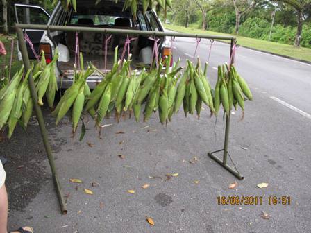 Sarawakiana@2: Roadside Sweet Corn Stall