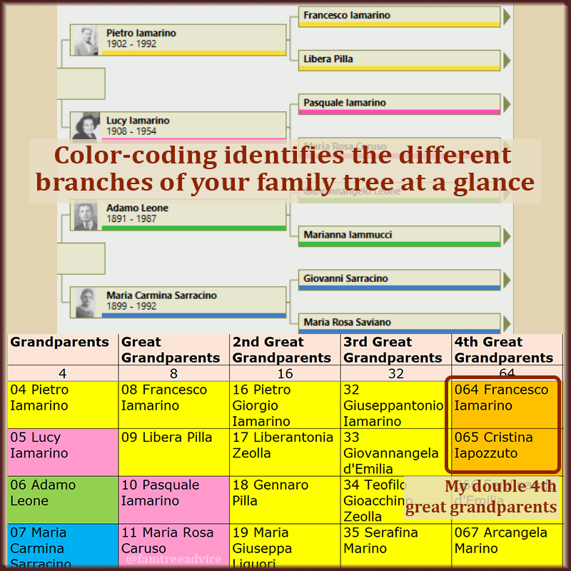 Fortify Your Family Tree: April 2019