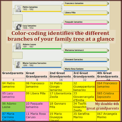 Fortify Your Family Tree: A Roadmap for Your Genealogy Research