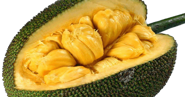 Amazing Vietnam: Mít tố nữ Long Khánh