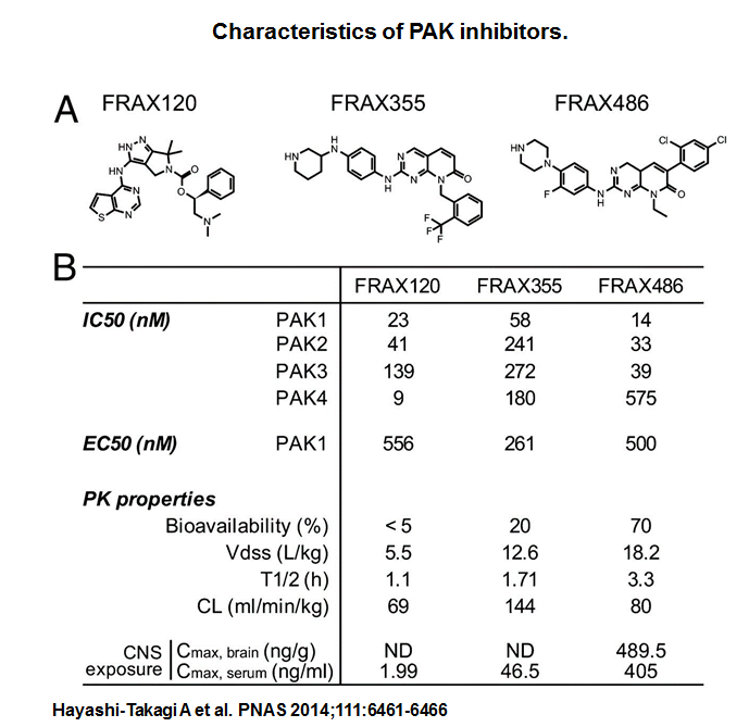 Epiphany: PAK inhibitors not just for Cancer, Alzheimer’s and ...