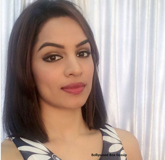 Shikha Singh Age, Wiki, Biography, Height, Weight, TV Serials, Husband ...