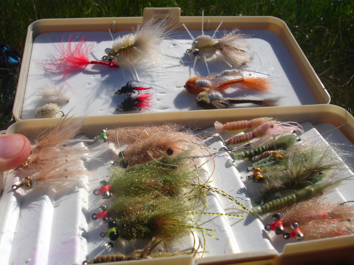 born to fly fish: Grunter Season is upon us