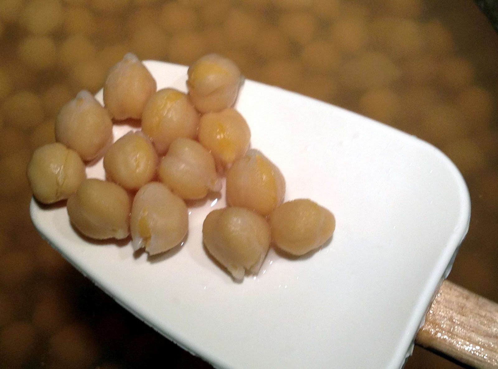 Life on the Food Chain: Easy Chick Peasy: Garbanzo Beans or Chick Peas ...