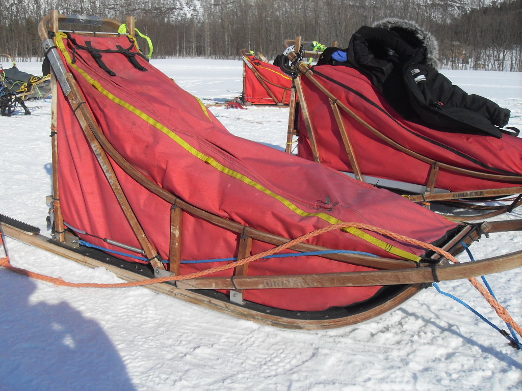 Richard’s Adventure Challenges: Arctic Circle Dog Sled Challenge