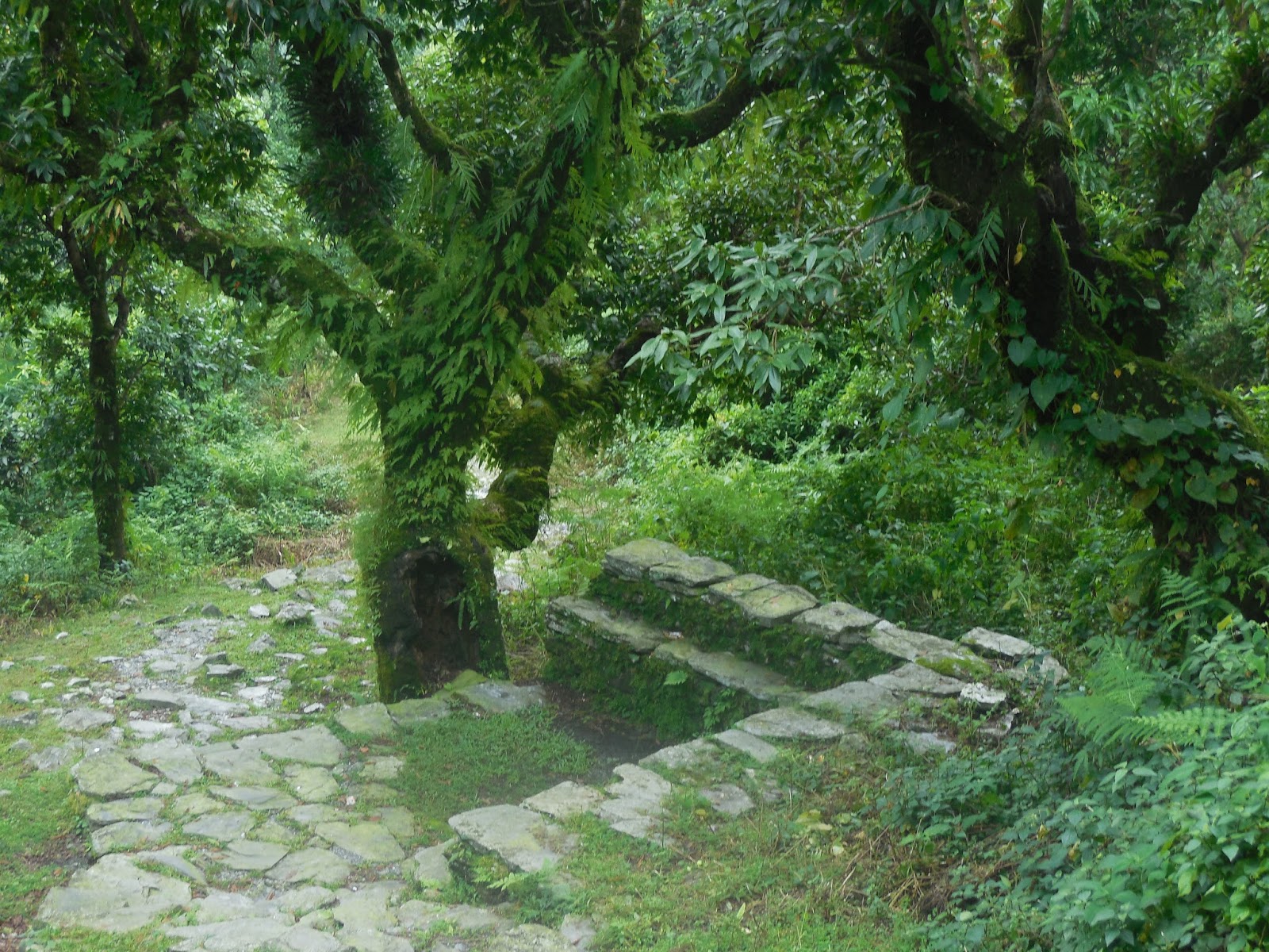 Ann Marcer in Nepal: Chautara - resting places