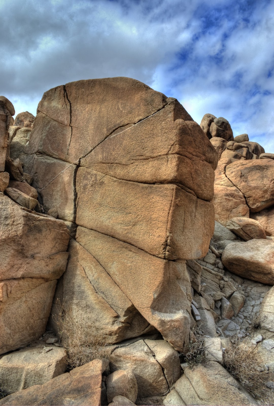 UNIQUELY JOSHUA TREE: ROCK PILES JOSHUA TREE