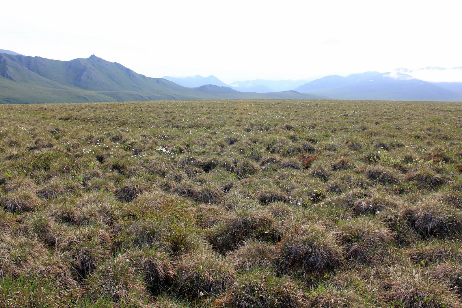 Lost in Wonder, Love and Praise: Arctic Revue Day 10 "Arctic Landscapes"