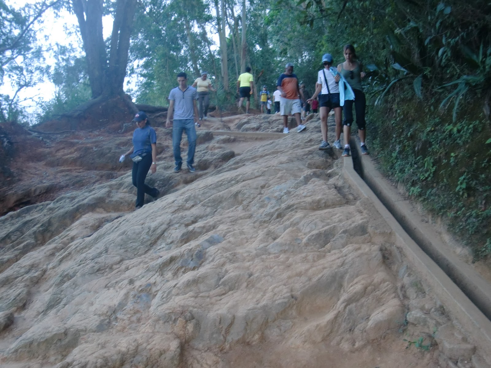 El ÁVILA: Sabas Nieves