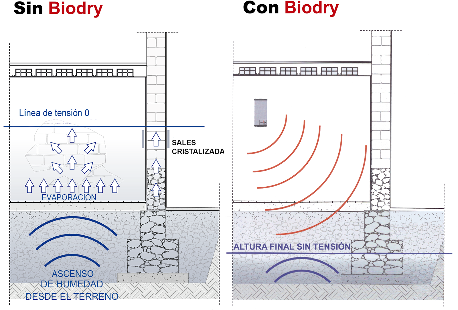 ¿Cómo funciona Biodry?