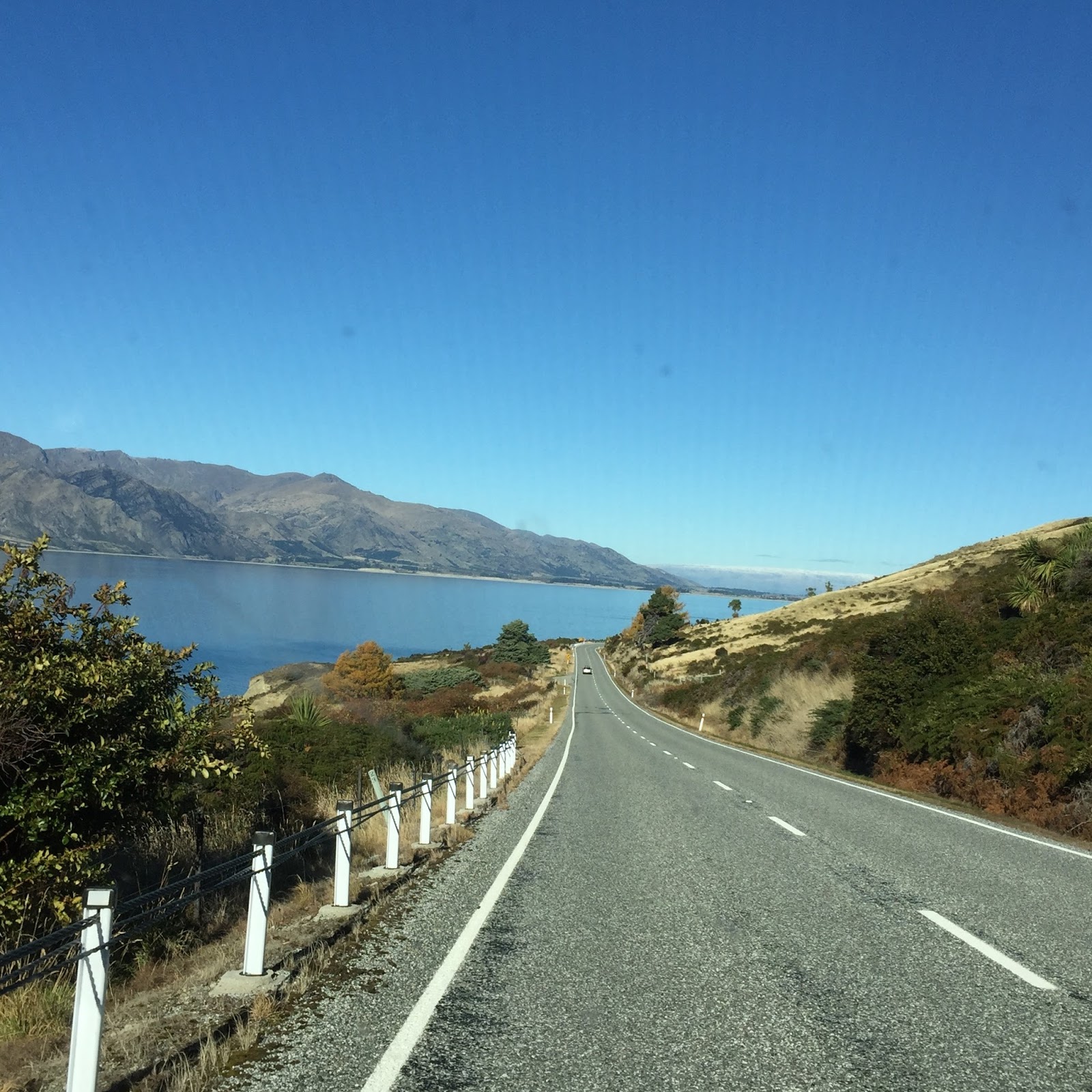 THE ROAD TAKEN : Azure Drive: Haast to Lake Wanaka and Lake Hawea