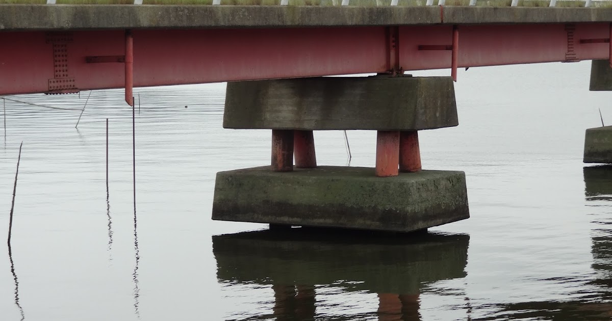 Bridge of the Week: Ibaraki, Japan's Bridges: Rokko Bridge across ...