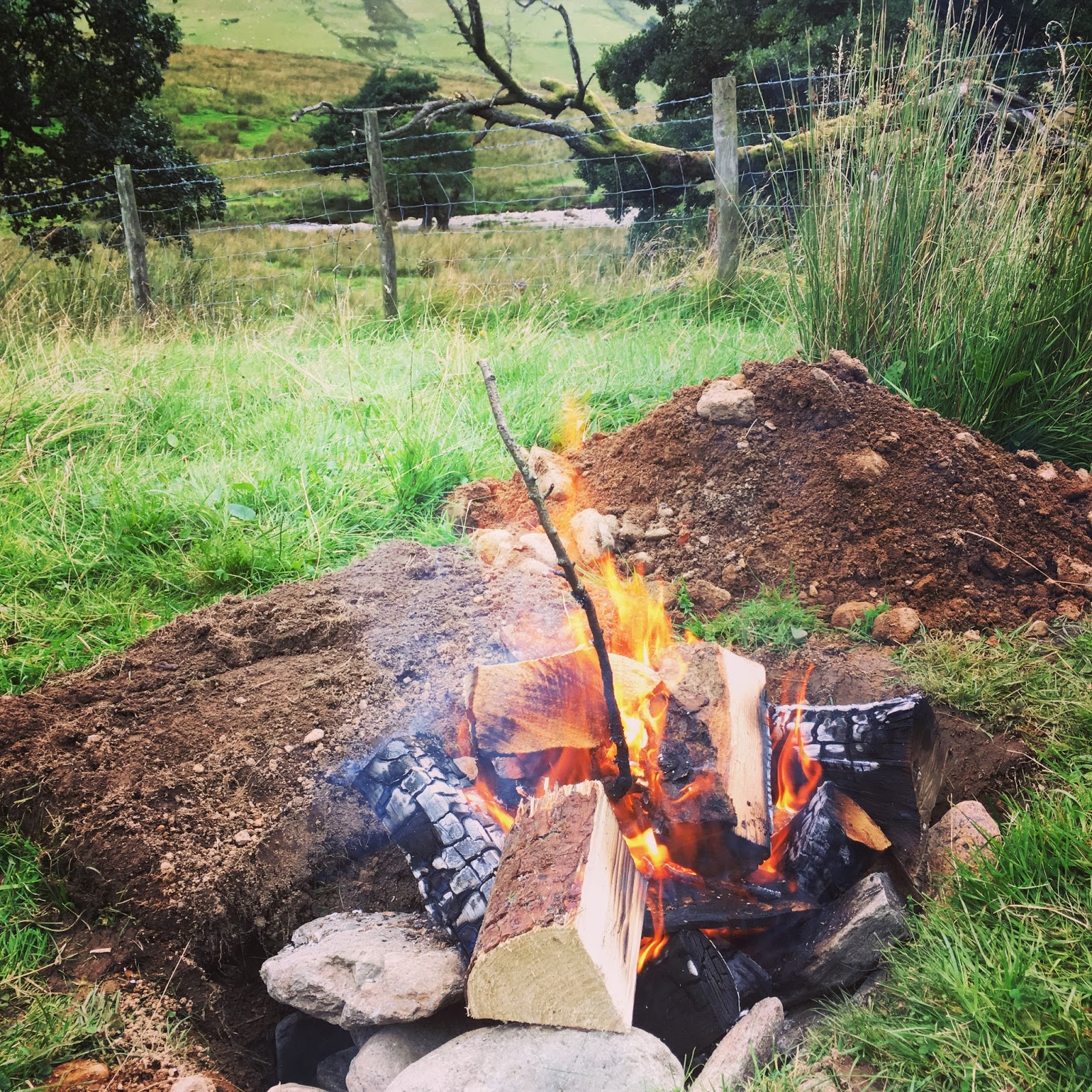 Pit Cooking - Lamb in the Ground | The Grazer