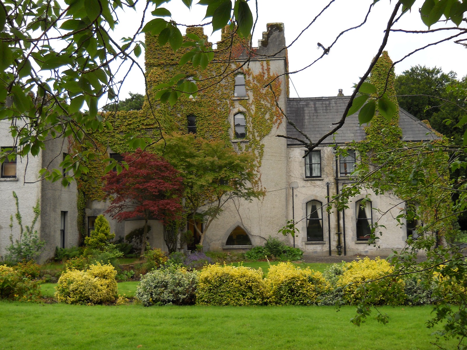 Moses Brown Lower School - Travel with Teachers: Katy's Post ...