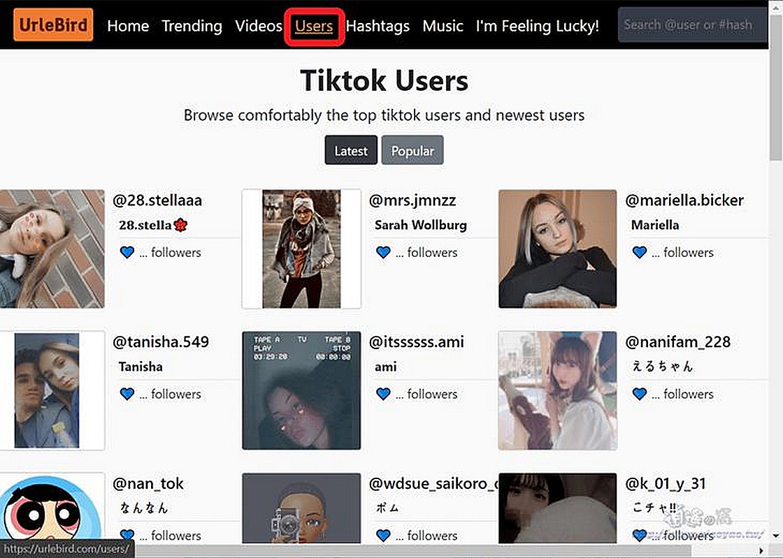 Urlebird 在電腦瀏覽 TikTok 抖音，可搜尋中文 Hashtags 和下載影片