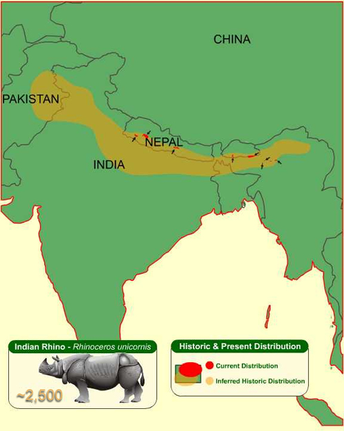 wildlife conservation officer: Species on the edge