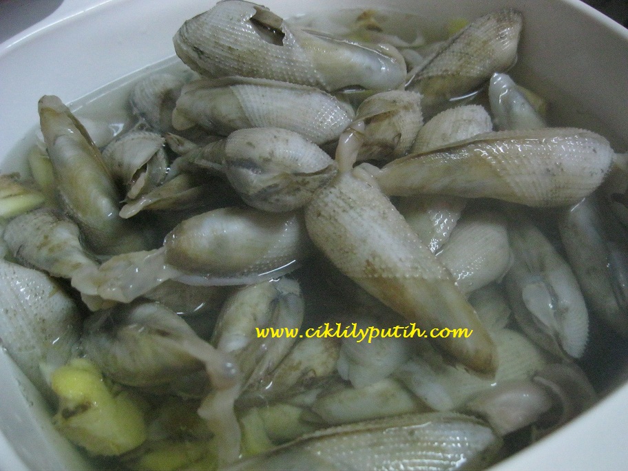 CikLilyPutih The Lifestyle Blogger: Cara Masak Siput Mentarang Yang Sedap