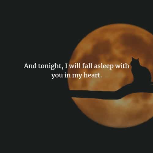 74 Beautiful good night inspirational quotes and sayings