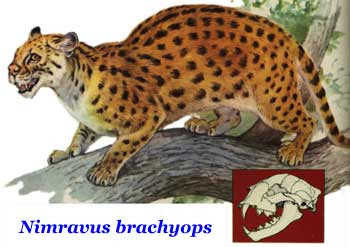 Escenarios prehistóricos: 12/06/11