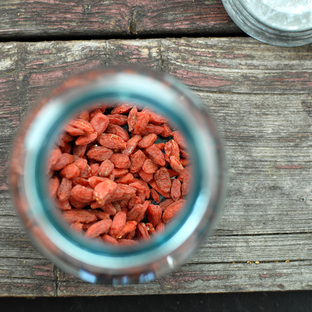 Goji Berry Infused Vodka and Martini | Boulder Locavore