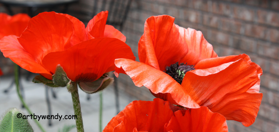 Art by Wendy: Get those Values Working for You -Painting & Drawing Tips