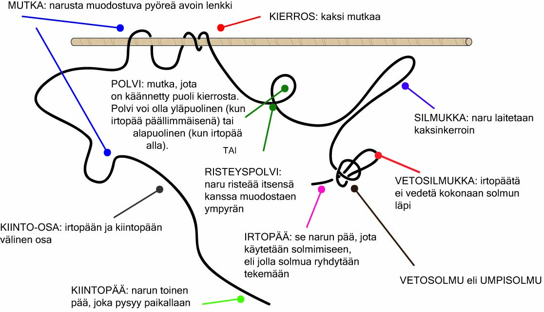 Solmukas: Termejä ja käsitteitä