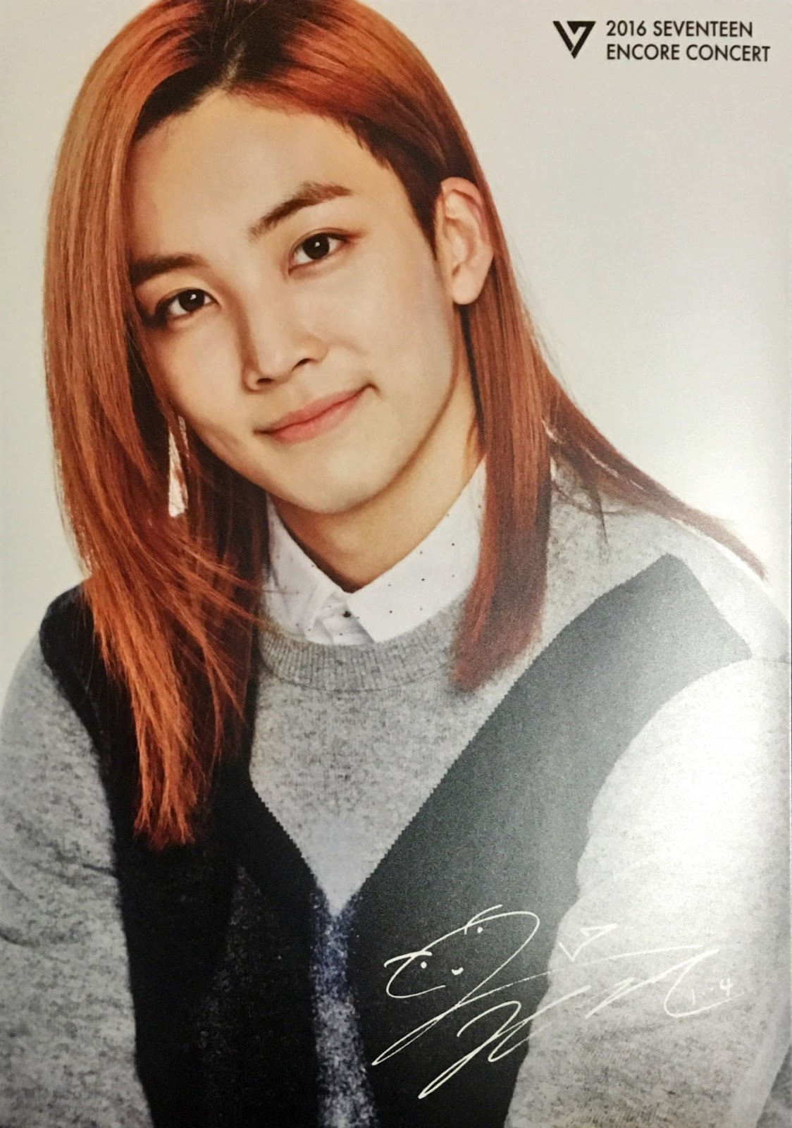 You Only Love Oppa!: SVT 95 Liners' Gallery.