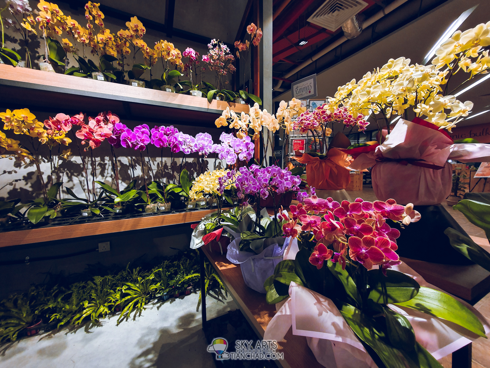 TOP 13 THINGS TO DO IN THE LINC KL #THELINCKL