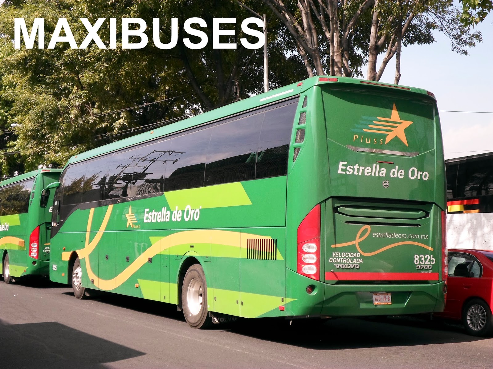 MAXIBUSES: ESTRELLA DE ORO PLUSS