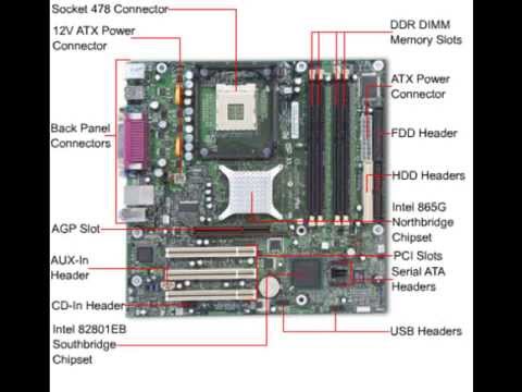 MCQ OF Computer Fundamentals - Objective Questions (MCQ) ~ mcq of ict ...