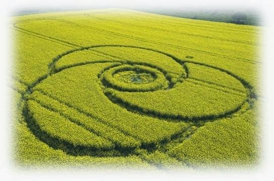 Agroglifos : Bloghotpoint