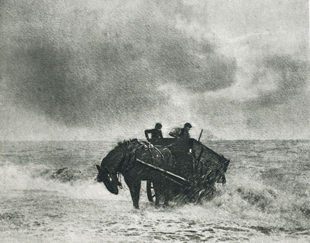 These 28 Extraordinary Photos You Won't Believe They Were Taken From ...