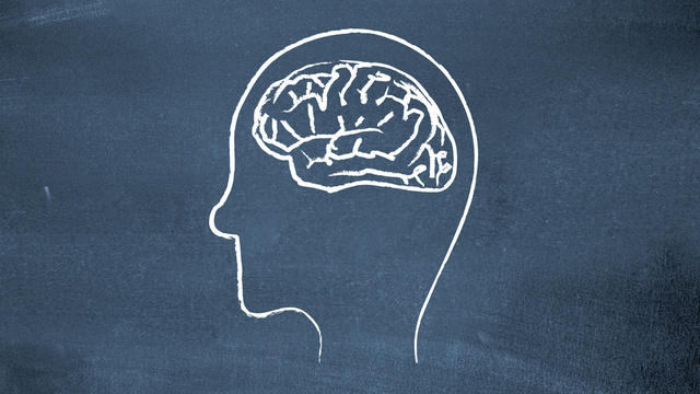 the garapata can speak...: Thoughts while Driving