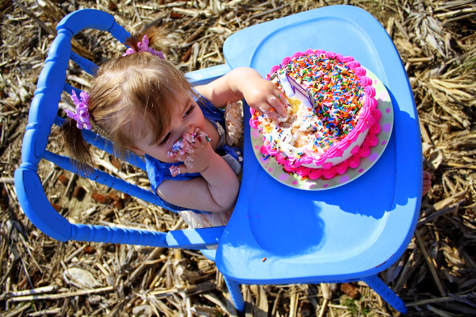 Making Mama's Kitchen: Emma's Cake Smash Photos