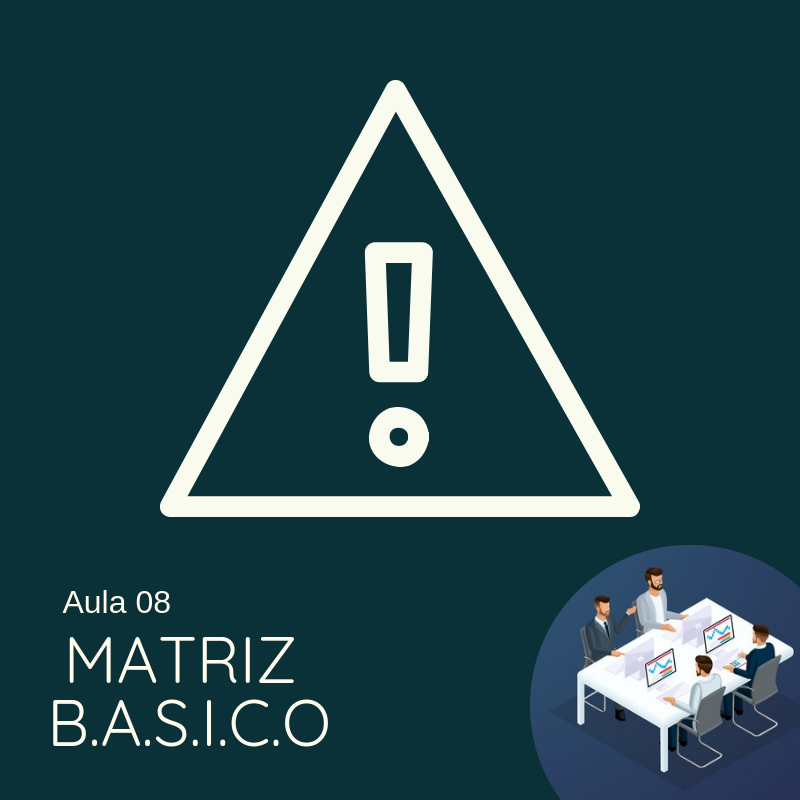 Sinergia Concursos: Resumo da ferramenta Matriz BASICO