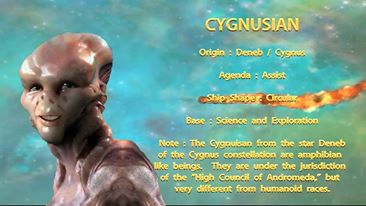 Cygnus (The Swan) & Deneb Adige | Fixed Stars