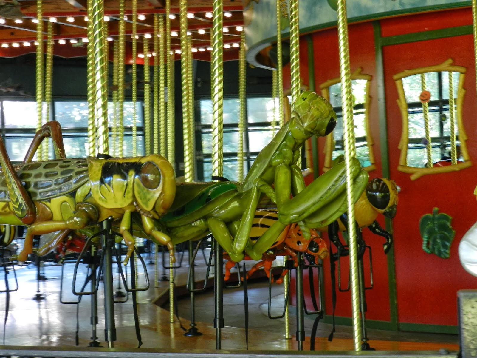 Anita's Adventures 2013