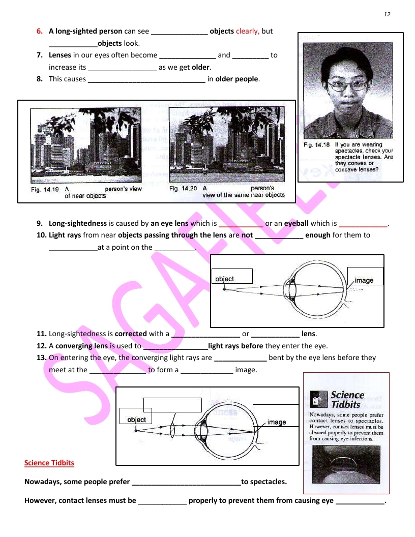 SCIENCE Secondary Two: Science Sec 2 Chapter 14E