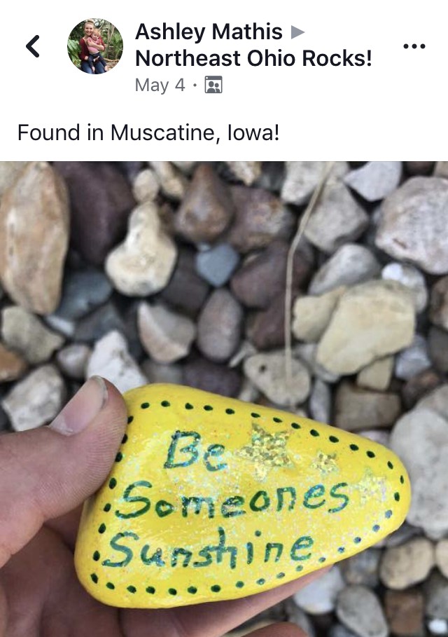 Northeast Ohio Rocks!: Northeast Ohio Rocks! in all 50 States Volume 5