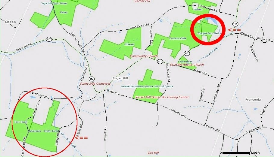 1HappyHiker: Exploring Alternative Locations for Doing Some Rambling