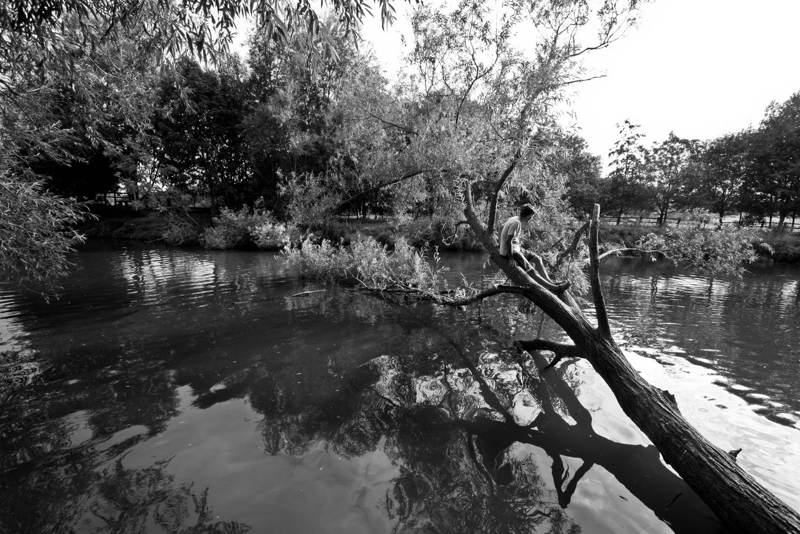 Dom Fleming Photography: August 2011