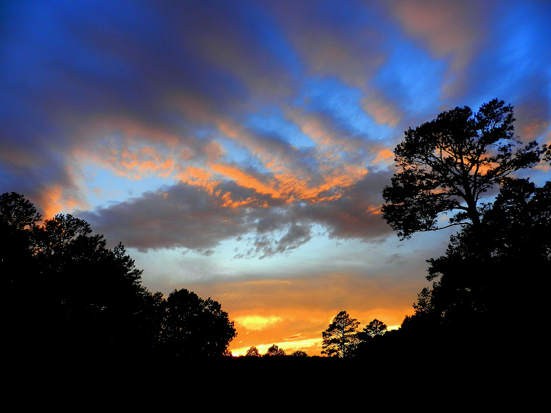 Shannon Casebeer: October 2012