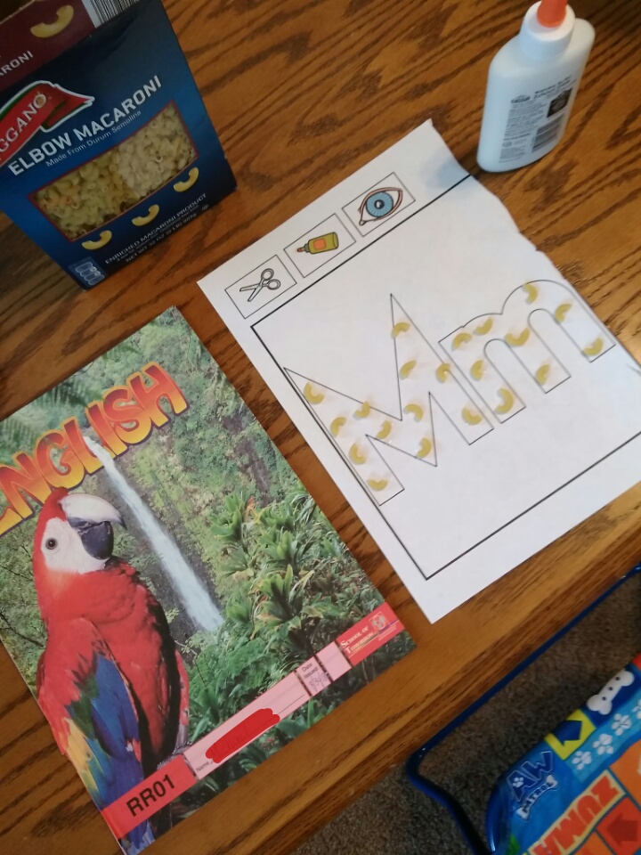 Shield of Faith Homeschool: Our Review of Kindergarten with Ace and ...