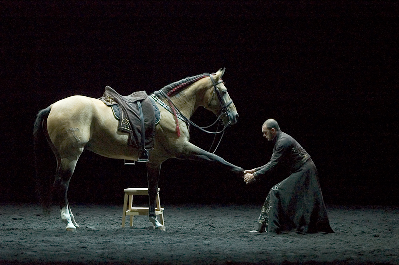 kytdancing: Le Sacre d'un cheval