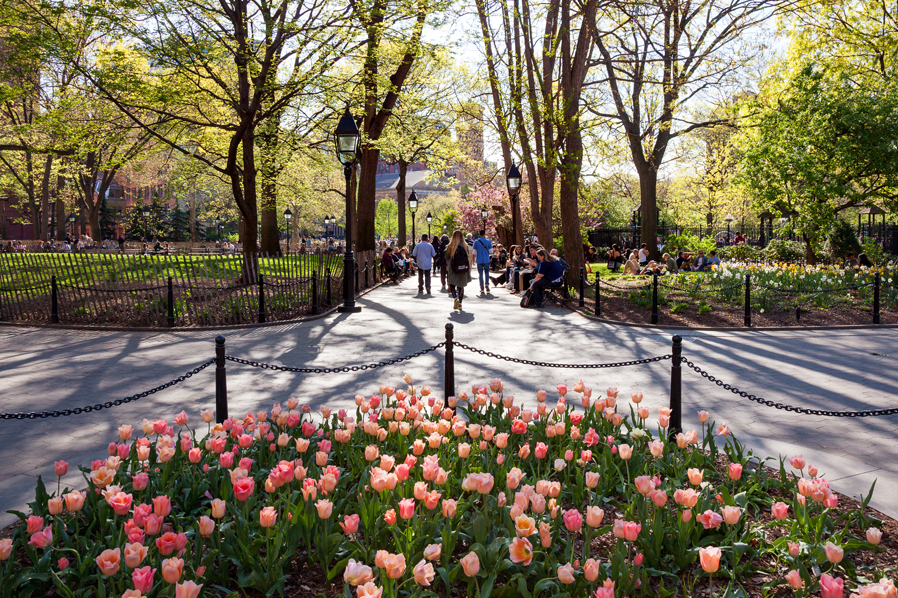 James and Karla Murray Photography: Spring. Late afternoon, Sunday ...