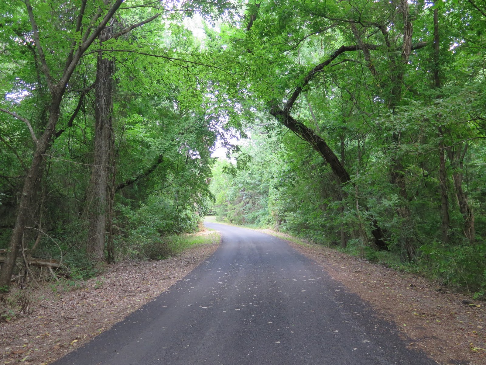 Ironically Normal: Bonham State Park