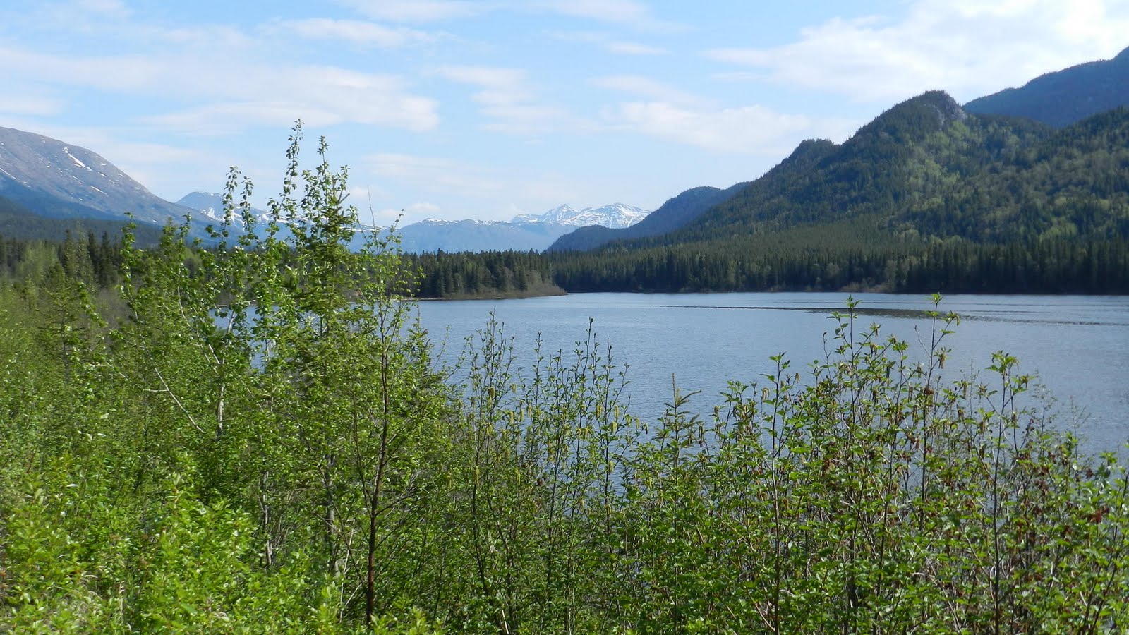 National Parks Tour: The Alaska Leg: Smithers, Dease Lake, to Whitehorse