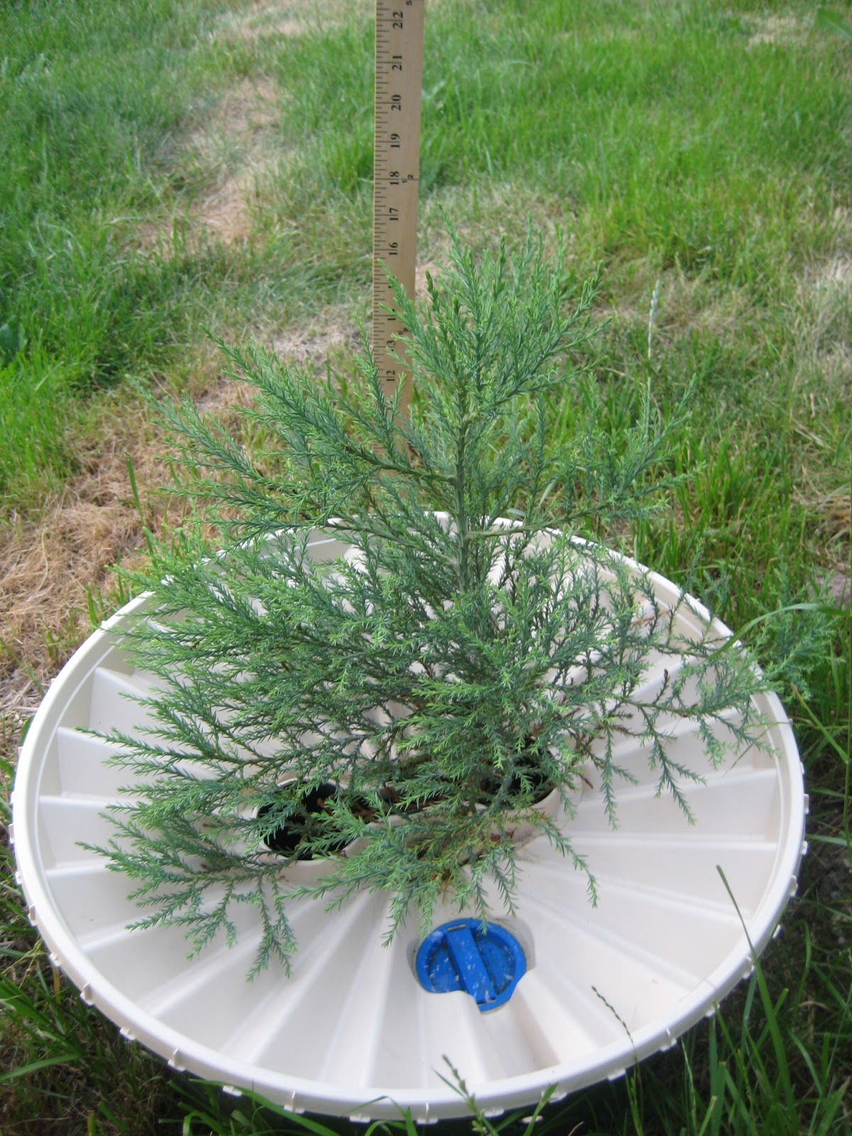 Earth's Internet & Natural Networking: Groasis Waterboxx: Desert ...