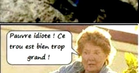 L’histoire d’une poisson rouge ! ~ Troll Et Humour