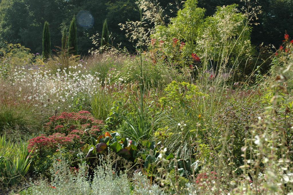 The Garden Wanderer: Peter Janke Garden, Germany
